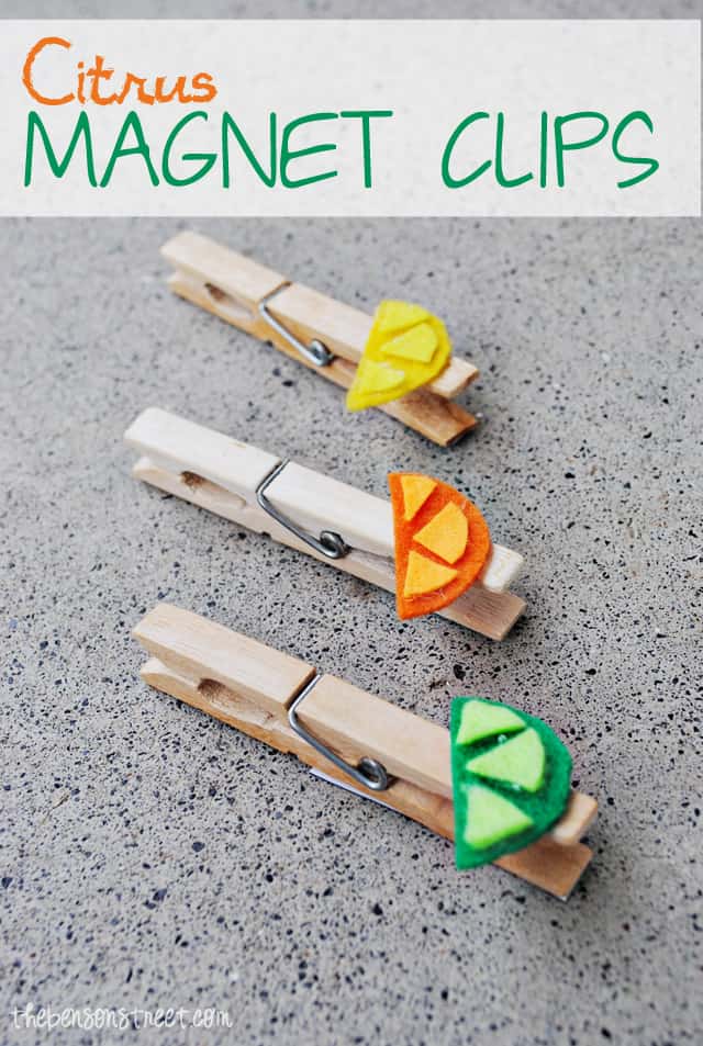 Citrus Magnet Clips - The Benson Street