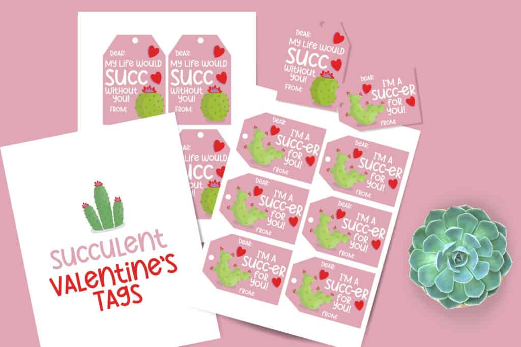 Free Succulent Valentine Printable Gift Tags and Cards - The Benson Street