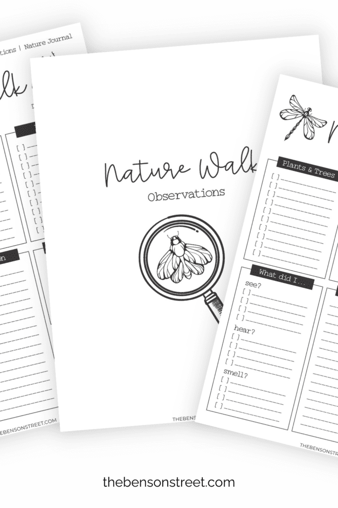 Free Printable Nature Walk Observations Page for Kids - The Benson Street