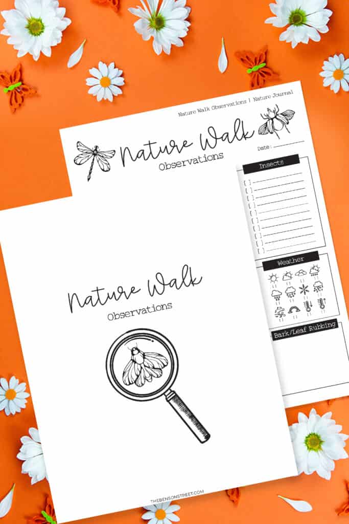Free Printable Nature Walk Observations Page for Kids - The Benson Street